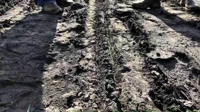 Factors of Sidewall Compaction | Latham Hi-Tech Seeds