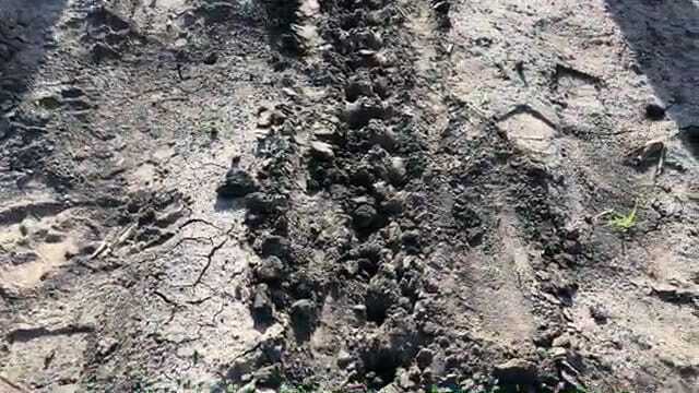 Factors of Sidewall Compaction | Latham Hi-Tech Seeds