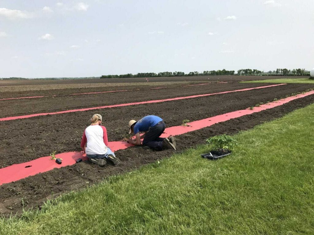 PRODUCE IS A GROWING BUSINESS FOR THE RUPPERT FAMILY | Latham Hi-Tech Seeds