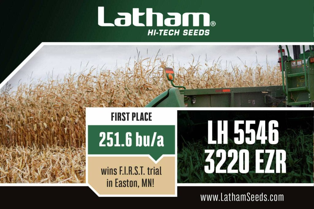 Latham Seeds Yield Highlights | Latham Hi-Tech Seeds
